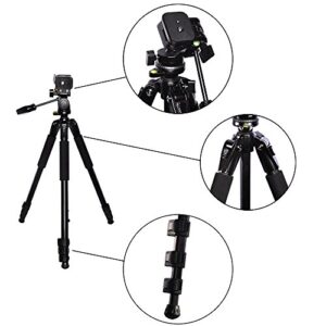 80" Inch Elite Series Professional Heavy Duty w/Angled Legs, Action Camcorder Tripod for DSLR Cameras + Microfiber Cloth