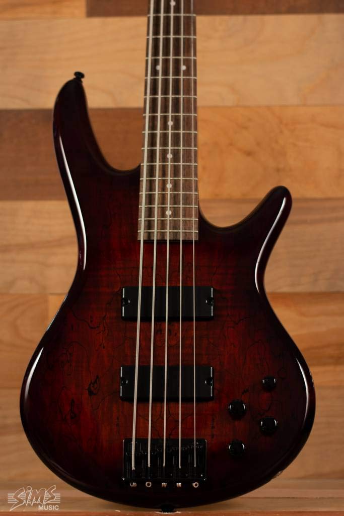 Ibanez 5 String Bass Guitar, Right, Brown (GSR205SMCNB)