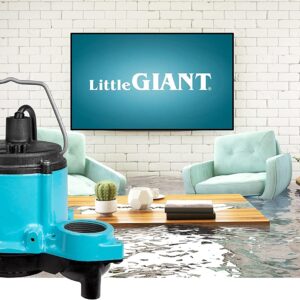 Little Giant 6-CIM-R 115-Volt, 1/3 HP, 2750 GPH Manual Submersible Sump/Utility Pump with 10-Ft. Cord, Blue, 506271