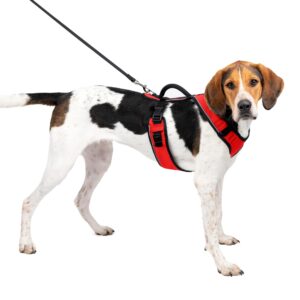 petsafe easysport dog harness – adjustable, padded dog harness with control handle and reflective piping – large, red