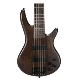 Ibanez GSR, 6-String Bass Guitar, Right, Walnut Flat (GSR206BWNF)