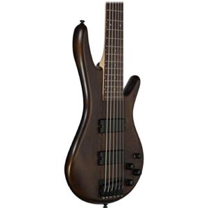 Ibanez GSR, 6-String Bass Guitar, Right, Walnut Flat (GSR206BWNF)