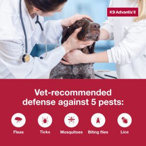 K9 Advantix II XL Dog Vet-Recommended Flea, Tick & Mosquito Treatment & Prevention | Dogs Over 55 lbs. | 2-Mo Supply