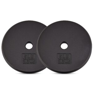 yes4all 1-inch cast iron weight plates for dumbbells – standard weight disc plates (5 lbs, set of 2)