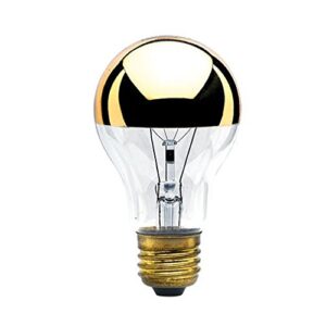 Bulbrite Incandescent A19 Medium Screw Base (E26) Light Bulb, 1 Count (Pack of 1), Gold