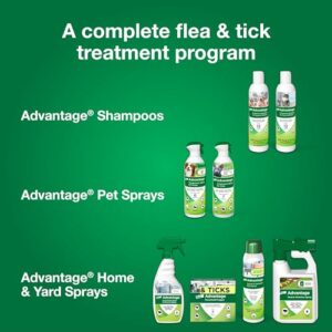 Advantage Dog Flea & Tick Shampoo for Puppies & Adult Dogs | Kills Fleas & Ticks | 12 oz.