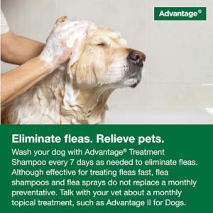 Advantage Dog Flea & Tick Shampoo for Puppies & Adult Dogs | Kills Fleas & Ticks | 12 oz.