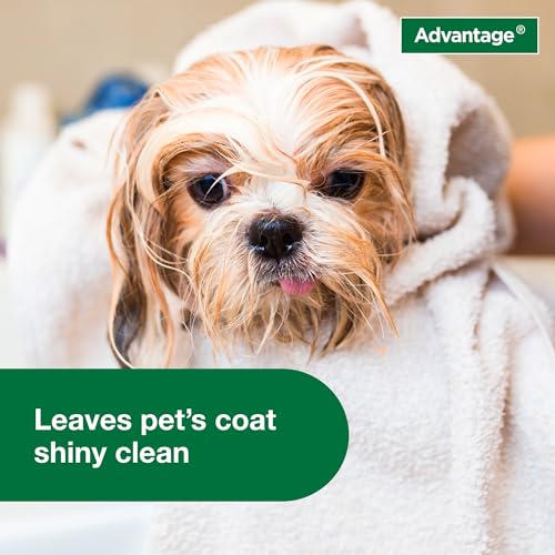 Advantage Dog Flea & Tick Shampoo for Puppies & Adult Dogs | Kills Fleas & Ticks | 12 oz.