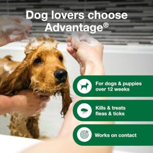 Advantage Dog Flea & Tick Shampoo for Puppies & Adult Dogs | Kills Fleas & Ticks | 12 oz.