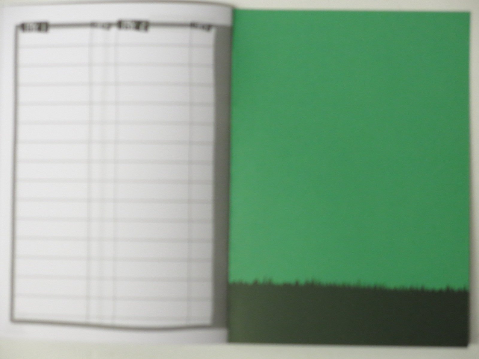 Silvine A5 Spelling Book - Green Cover