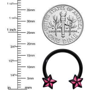 Body Candy 14 Gauge Black Pink Nautical Star Horseshoe Circular Barbell 9/16"