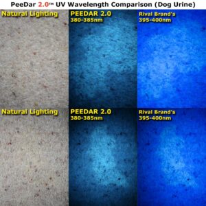 PeeDar 2.0 UV Pet Urine Detector Black Light Flashlight + Cat & Dog Behaviorist Book + 3 AAAs. Ultra Bright Optimal 380-385NM LEDs Find Invisible Stains Instantly! Rid Cat, Dog Pee Issues Forever.