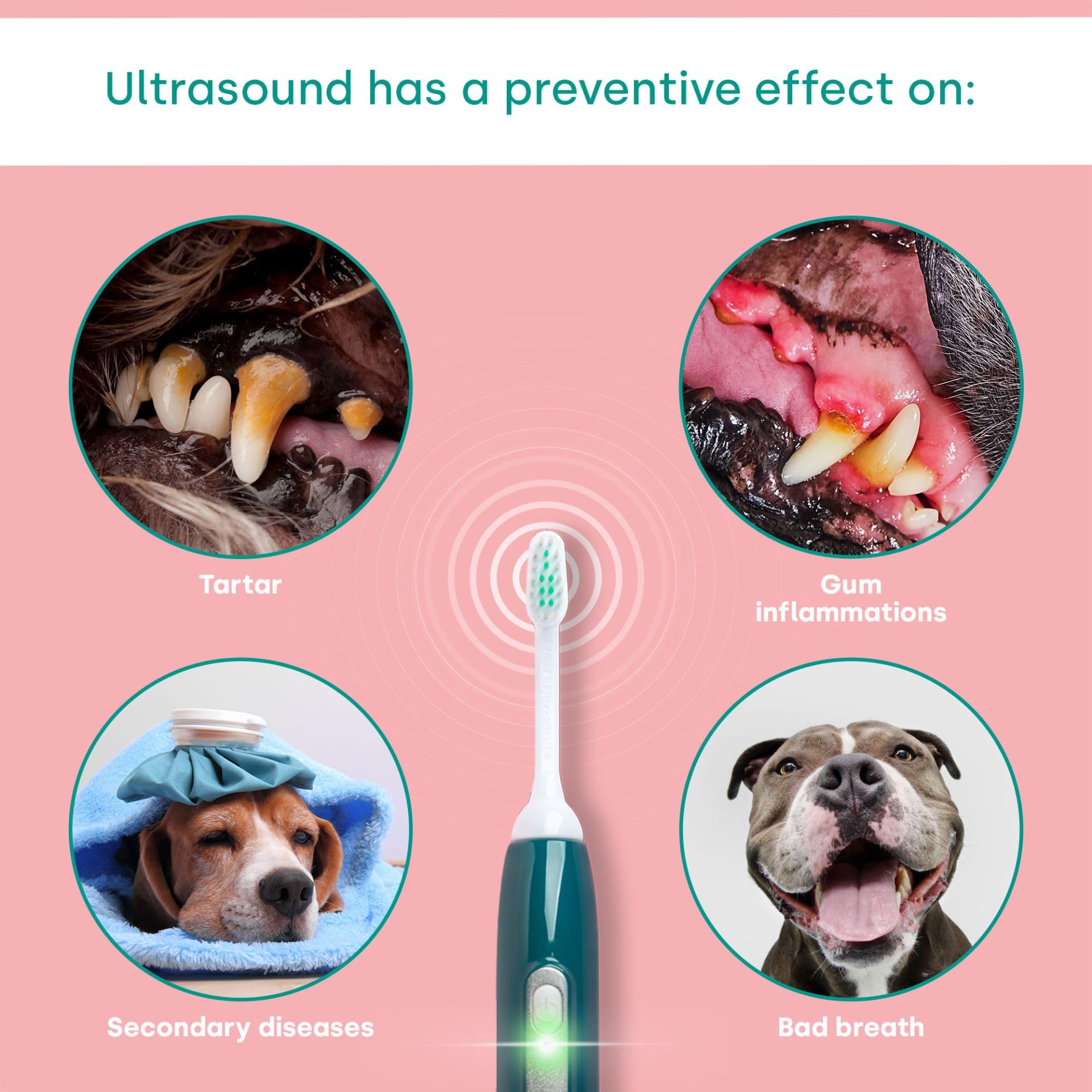 Emmi®-pet 2.0 electric toothbrush Oral & Skin Care Set for Pets. 100% Ultrasound cleans completely silently, no bristle movements and no vibration. for cleaner teeth, healthier gums, fresher breath.