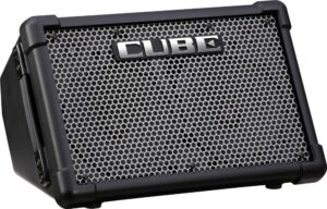 roland cube street ex 2x8 50-watt battery powered combo amp