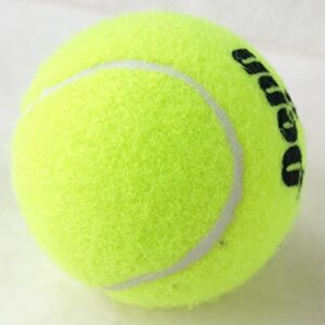 Tennis Balls - 40 Cans - 120 Balls - Championship Extra-Duty