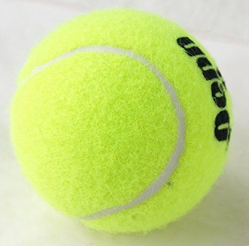 Tennis Balls - 40 Cans - 120 Balls - Championship Extra-Duty