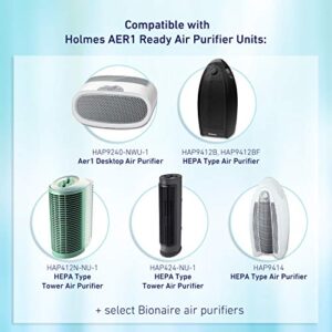 Holmes HAPF300AHD-U4R-2 Air Purifier Filter, 2 Count