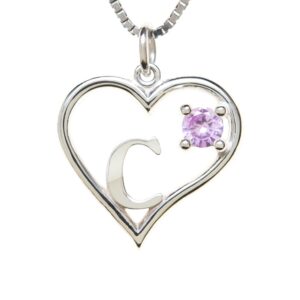 Arbach’s Icy Jewelry - Sterling Silver Box Chain Personalized Birthstone Pendant Statement Necklace - Heart & Letter (C)