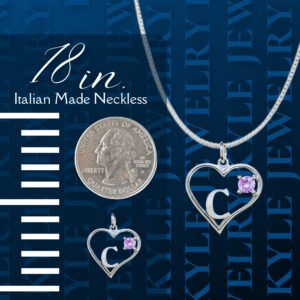 Arbach’s Icy Jewelry - Sterling Silver Box Chain Personalized Birthstone Pendant Statement Necklace - Heart & Letter (C)