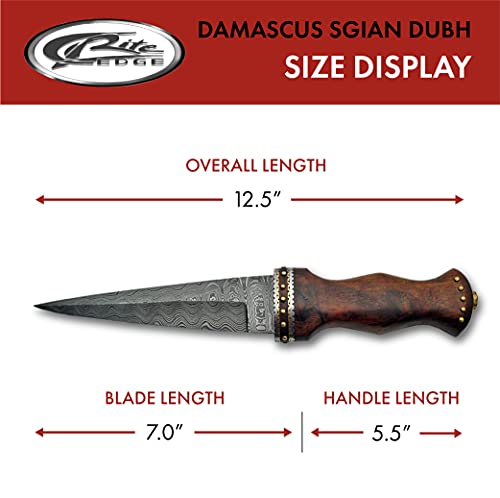 Szco Supplies 12.5" Damascus Steel Sgian Dubh Scottish Dirk Knife, One Size, Brown (DM-1076)