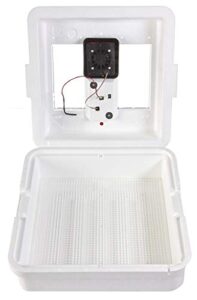 little giant® digital still air incubator | 41 eggs | egg incubator with temperature and humidity control | chick incubator