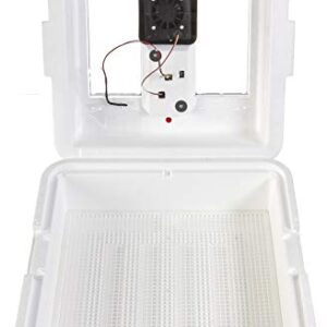 Little Giant® Digital Still Air Incubator | 41 Eggs | Egg Incubator with Temperature and Humidity Control | Chick Incubator