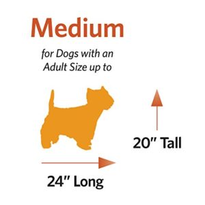 MidWest Homes for Pets Skudo Plastic Carrier, 27-Inch Ideal for Small / Medium Dog Breeds with an Adult Weight of 26-35 Pounds