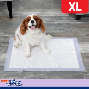 Hartz Home Protection Lavender Scented Dog Pads, XL 30 count, Super Absorbent & Won't Leak, Odor Eliminating