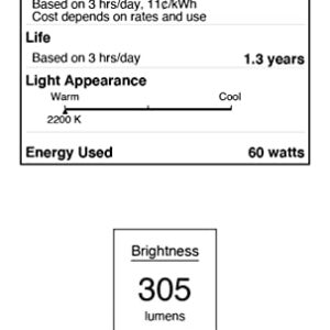 Westinghouse 0413200 60 Watt ST20 Amber Timeless Vintage Inspired Bulb with Medium Base