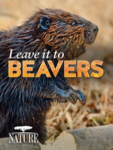 leave it to beavers