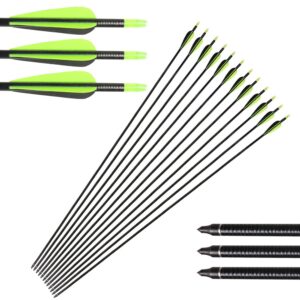 huntingdoor archery 31" fiberglass hunting arrows fiberglass target practice arrows with screw-in tips for recurve or compound bow(pack of 12)