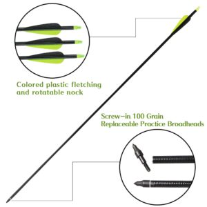 Huntingdoor Archery 31" Fiberglass Hunting Arrows Fiberglass Target Practice Arrows with Screw-in Tips for Recurve or Compound Bow(Pack of 12)