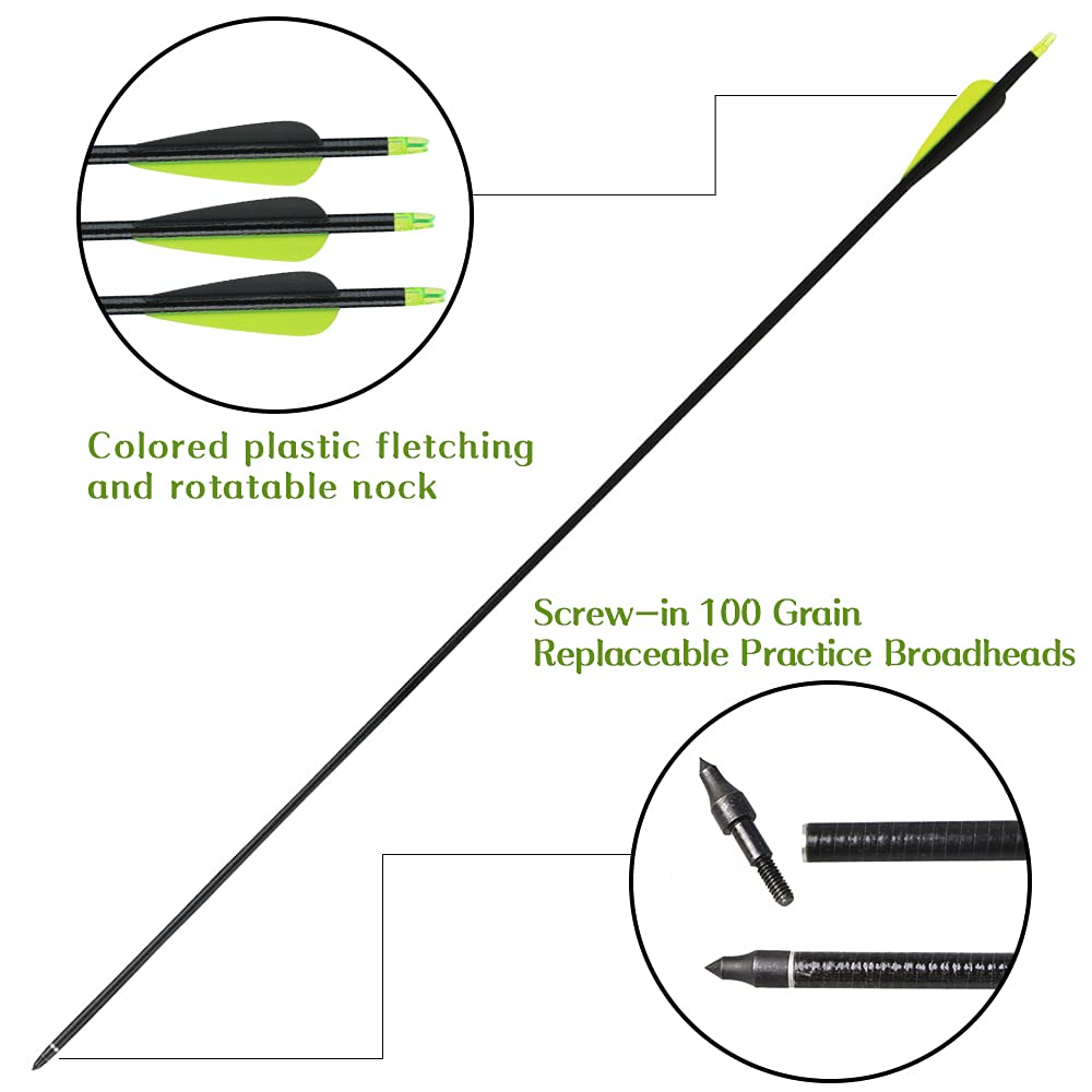 Huntingdoor Archery 31" Fiberglass Hunting Arrows Fiberglass Target Practice Arrows with Screw-in Tips for Recurve or Compound Bow(Pack of 12)