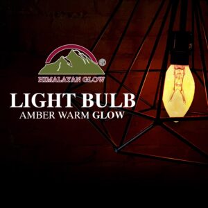 Himalayan Glow ‎Incandescent Light 40-Watt Himalayan Salt lamp Bulb, 6 Count