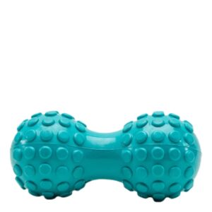 gaiam restore dual-zone back massage roller blue