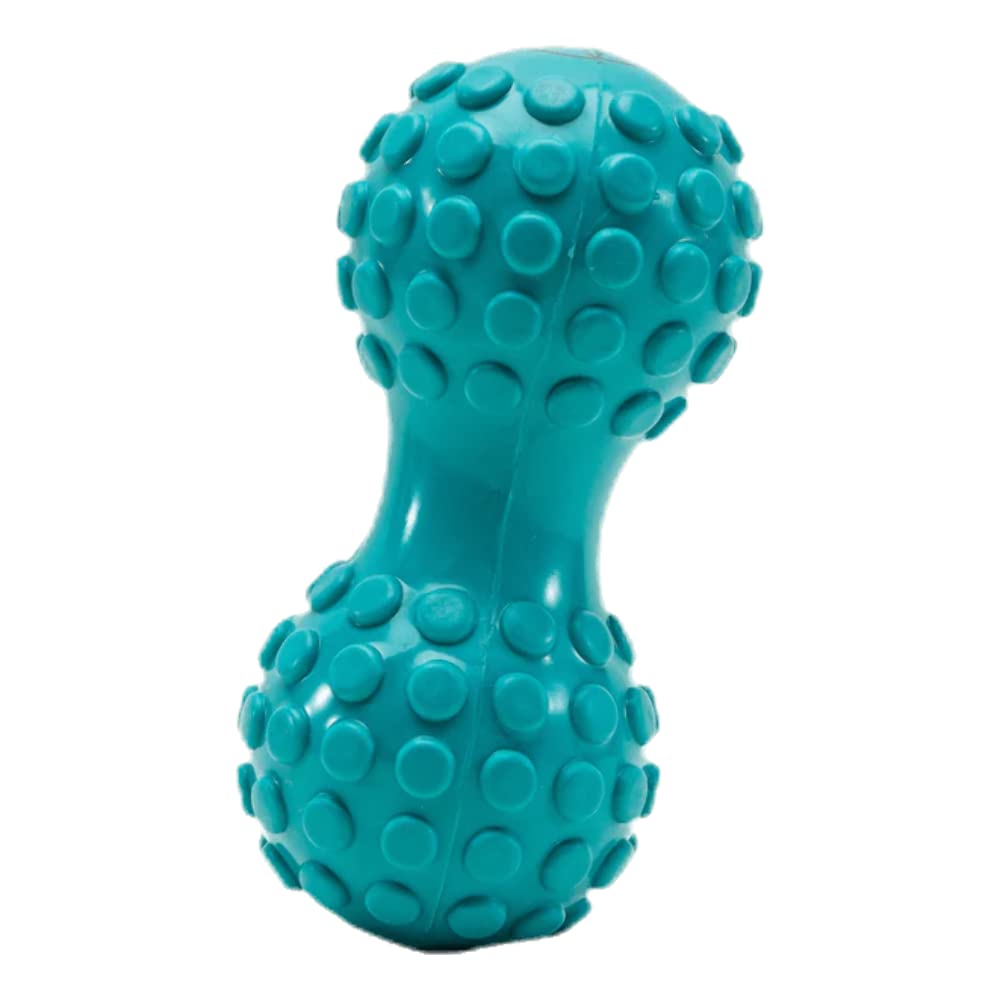 Gaiam Restore Dual-Zone Back Massage Roller Blue