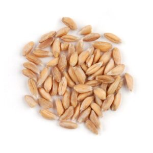 dg organic semi-pearled italian farro, 10 lbs.