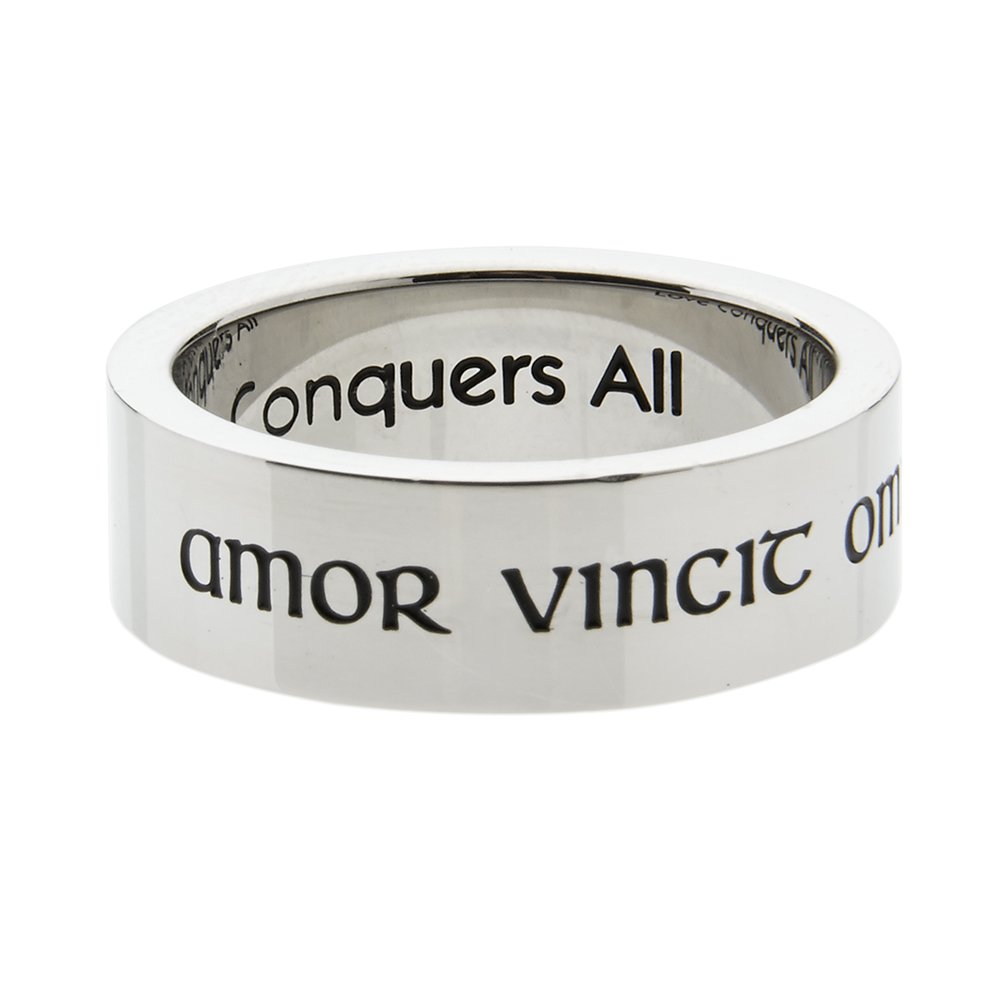 7mm Stainless Steel Women's Ring - Love Conquers All Amor Vincit Omnia Latin Poesy Ring , Jewelry & Gifts Size 7