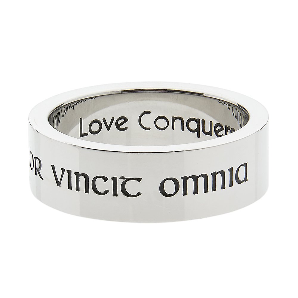 7mm Stainless Steel Women's Ring - Love Conquers All Amor Vincit Omnia Latin Poesy Ring , Jewelry & Gifts Size 7