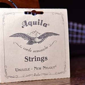 Aquila New Nylgut AQ-26 Baritone Ukulele Strings - Low D - 1 Set of 8