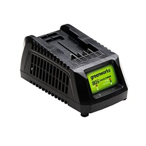 greenworks g-24 24v lithium ion battery charger, 29862