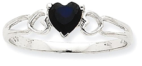 IceCarats 10K White Gold Blue Sapphire Heart Love Ring Gemstone Band September Birthstone Jewelry Size 6