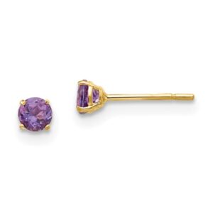 14K Yellow Gold Round Purple Amethyst 3mm Studs Gemstone Earrings February Birthstone Jewelry