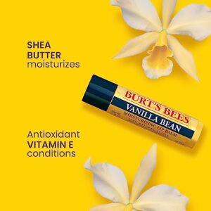 Burt's Bees Vanilla Bean Lip Balm, Lip Moisturizer With Responsibly Sourced Beeswax, Tint-Free, Natural Conditioning Lip Treatment, 1 Tube, 0.15 oz.