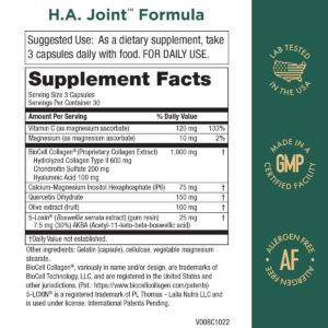 HA Joint Formula - Hyaluronic Acid from Purity Products, 90 capsules