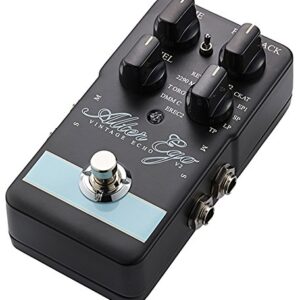 TC Electronic Alter Ego V2 Vintage Delay and Looper Pedal