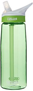 camelbak eddy water bottle, palm, .75-liter