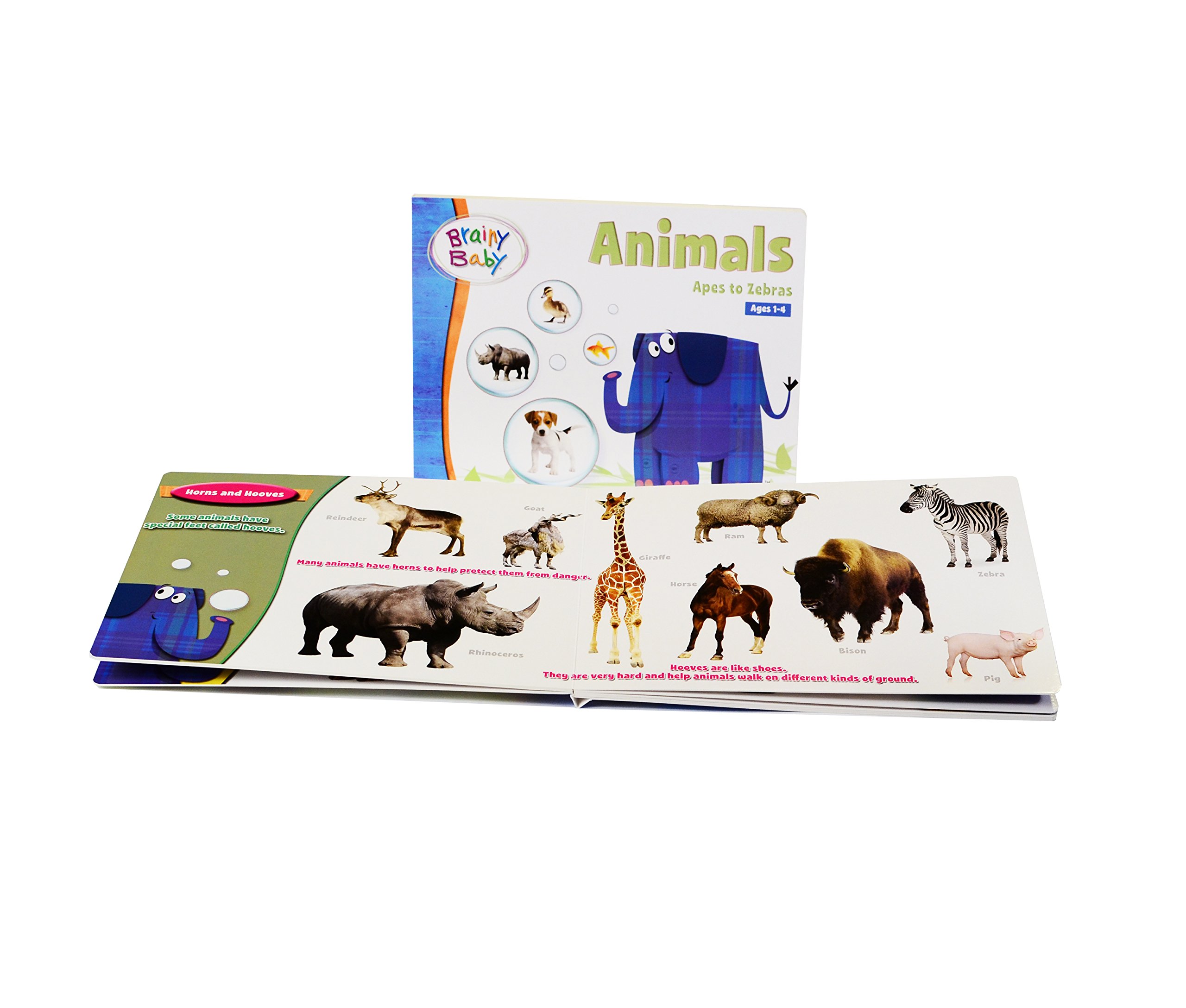 Brainy Baby Animals Board Book Apes to Zebras Deluxe Edition