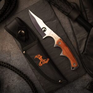 Elk Ridge - Outdoors Fixed Blade Knife - 6.75-in Overall, Mirror Finished Stainless Steel Blade, Burl Wood Handle - Full Tang Construction, 1680D Nylon Sheath - Hunting, Camping, Survival - ER-534