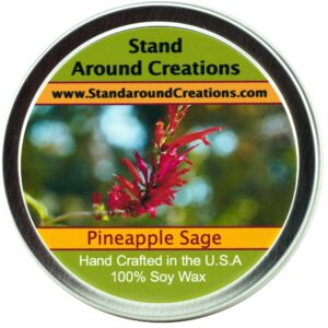 stand around creations soy aromatherapy candle - scent: apple fragrance 8oz white